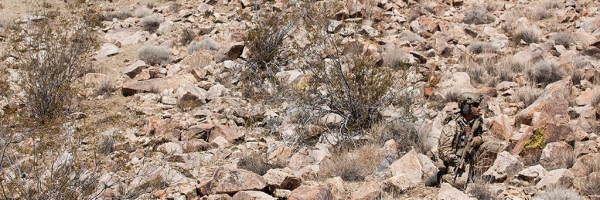 Patterns | MultiCam® Family of Camouflage Patterns Page